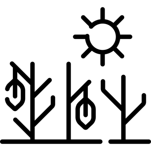 First Nations Australia - indigenous art